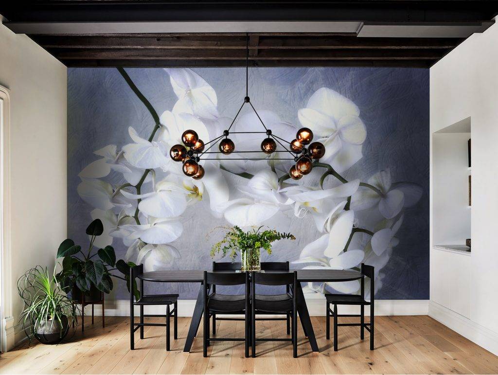 A branch of white orchid wall mural – Nouqoush