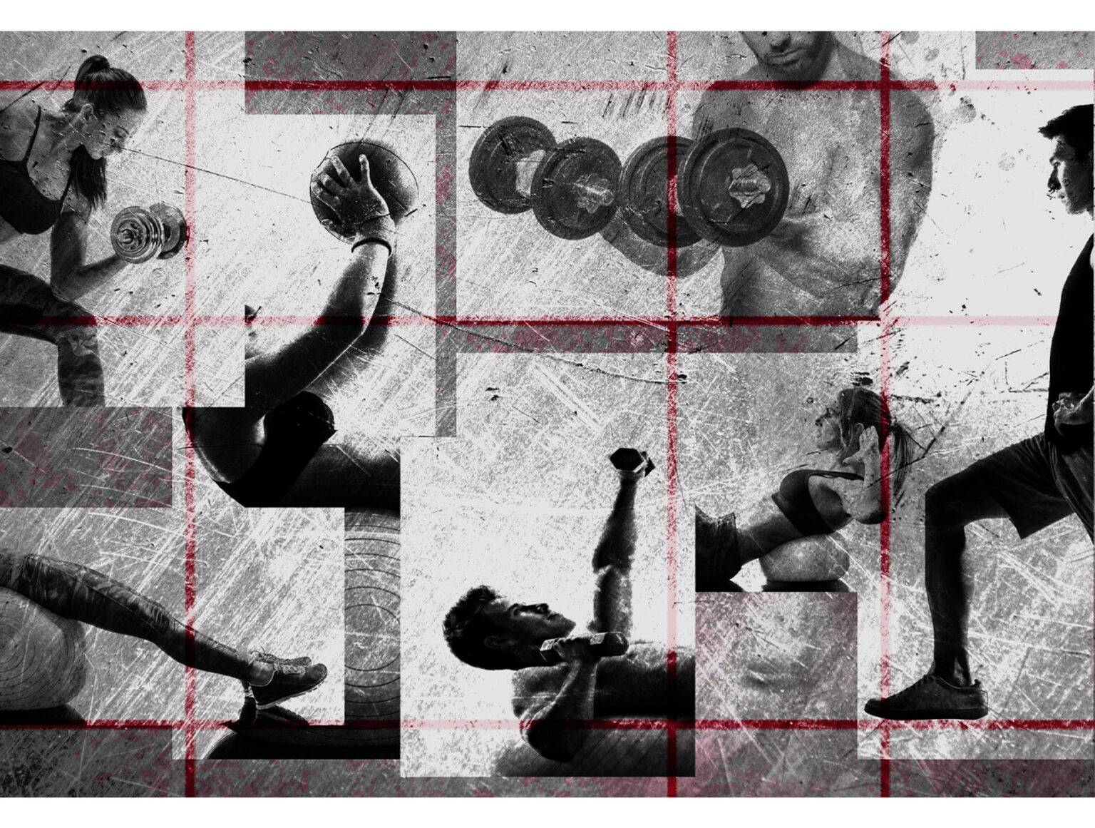 Bodybuilder wall mural - Nouqoush