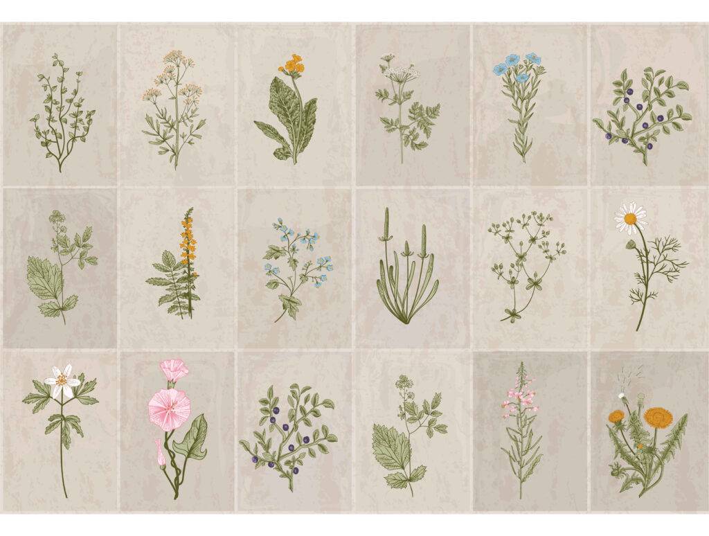 Botanical tiles wallpaper mural – Nouqoush