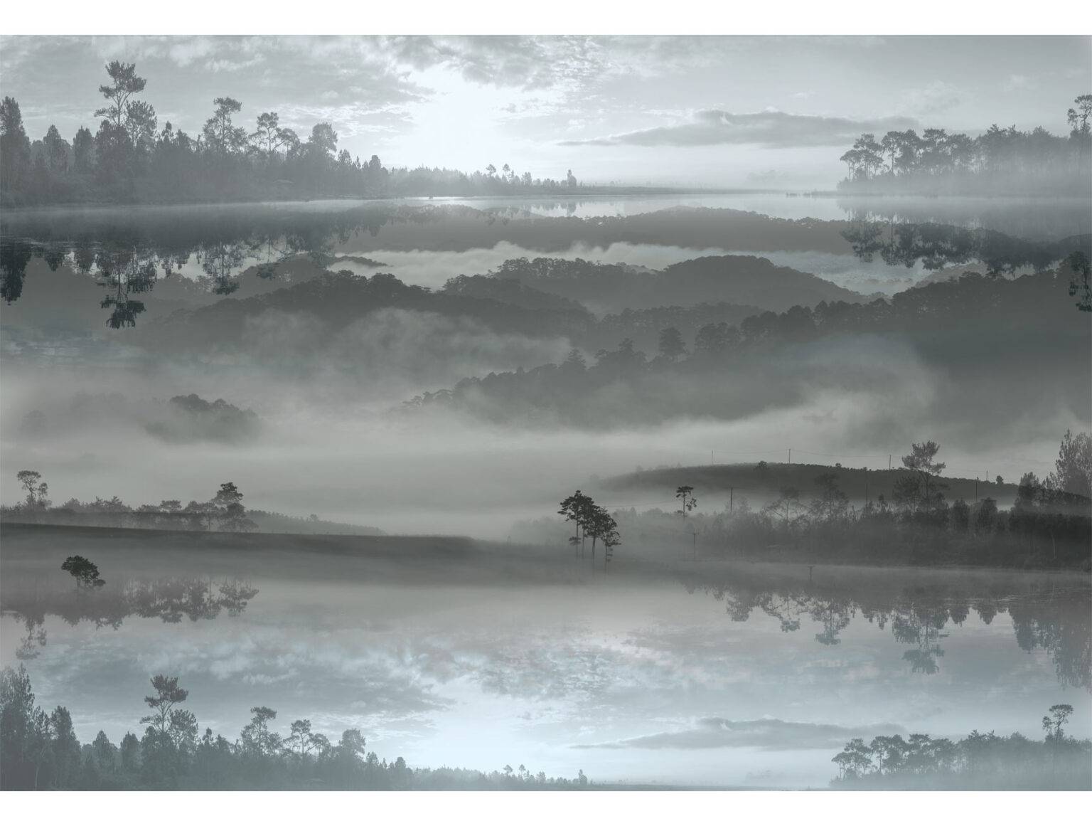Gray nature wallpaper mural - Nouqoush